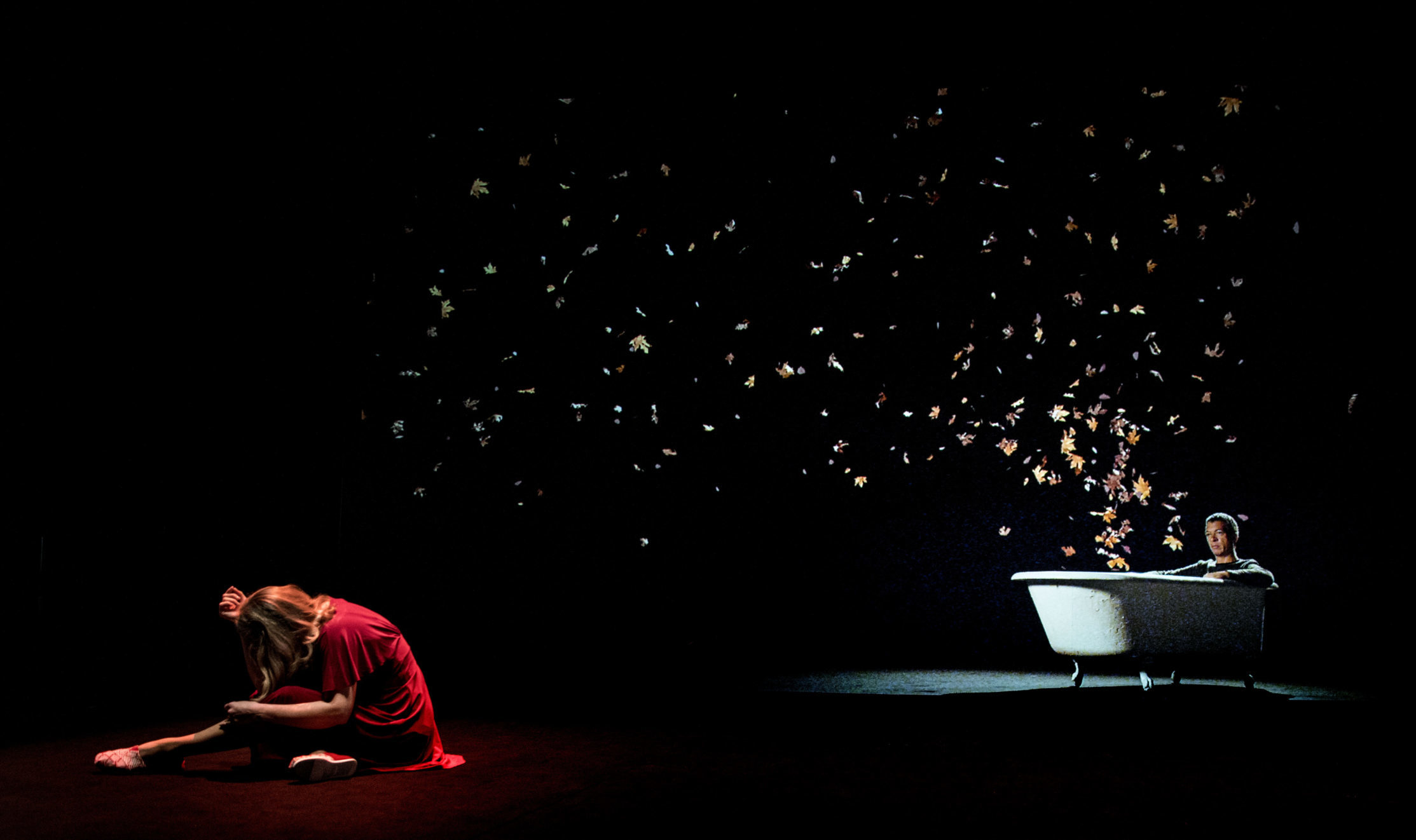 Blank Out - Michel van der Aa